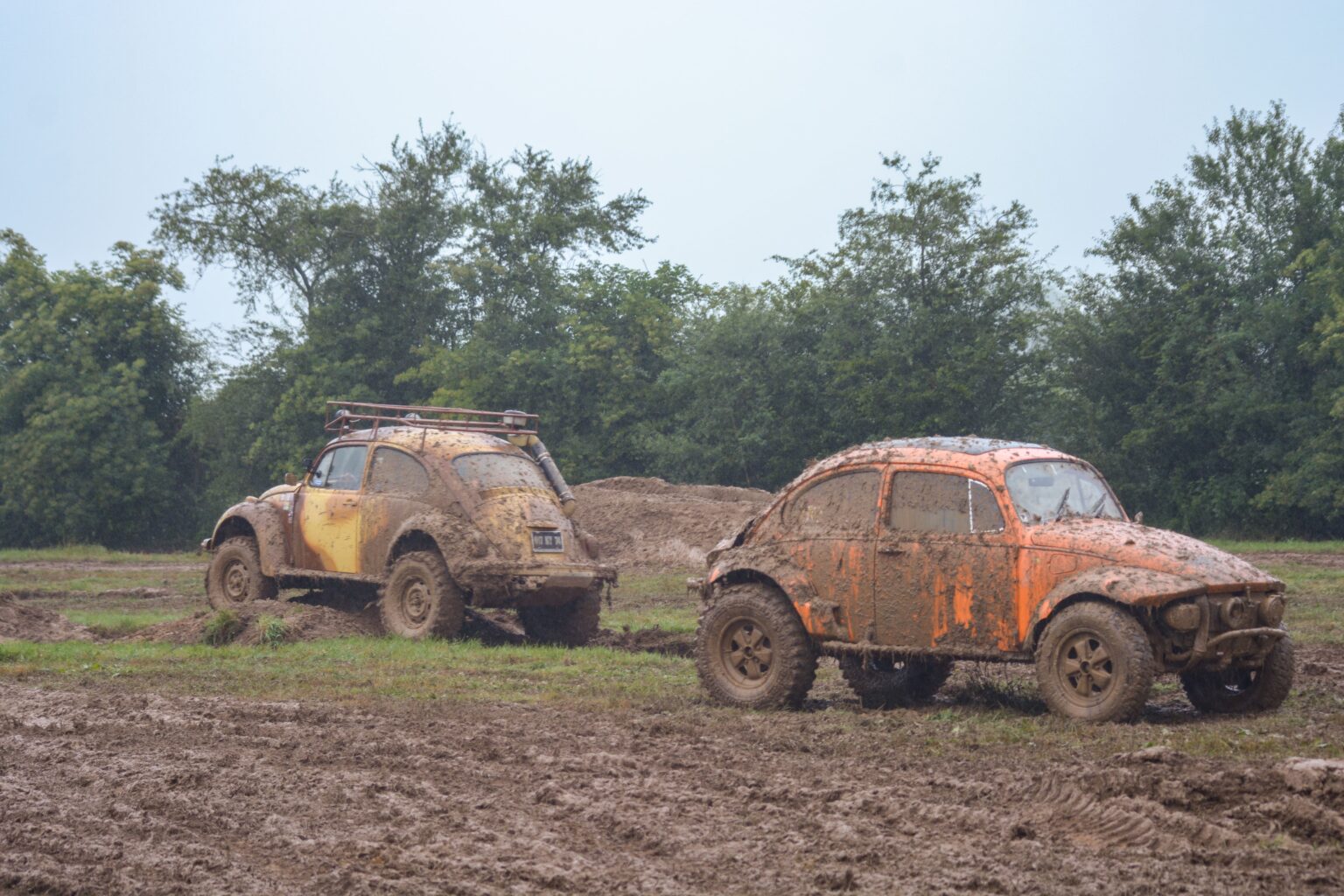 Our program - European Bug-In